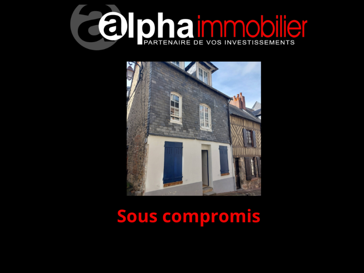 Alpha Immobilier - Alpha Immobilier - Immeuble 3 appartements